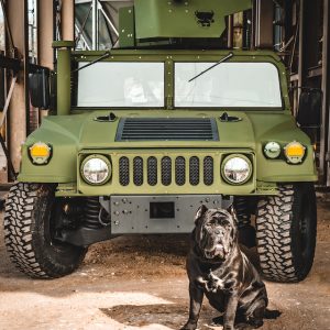 Black Dog Customs – The Military Vehicle Specialists
